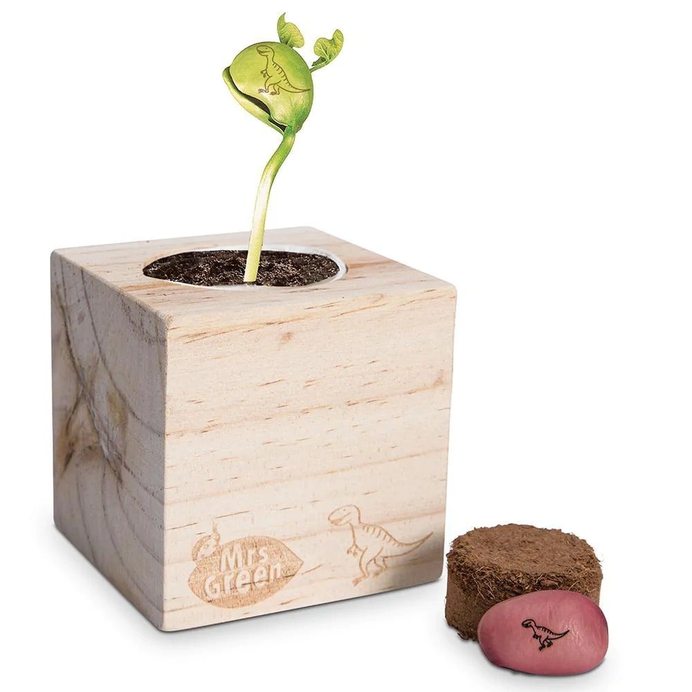 Magic Bean Kit Exotic Botanic