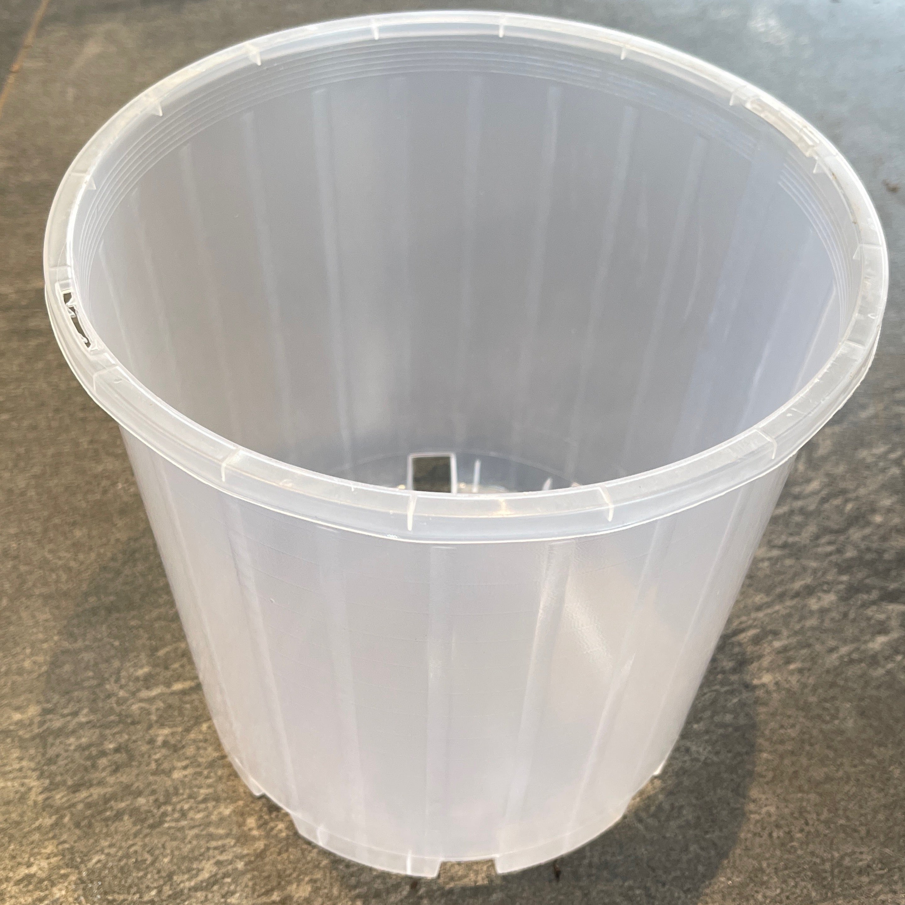 200mm Nursery Pot Garden City Plastic Clear - P200SLTL | Exotic Botanic