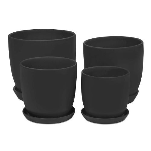 Elevate Your Space with Our Stylish Indoor Plant Pots | Exotic Botanic