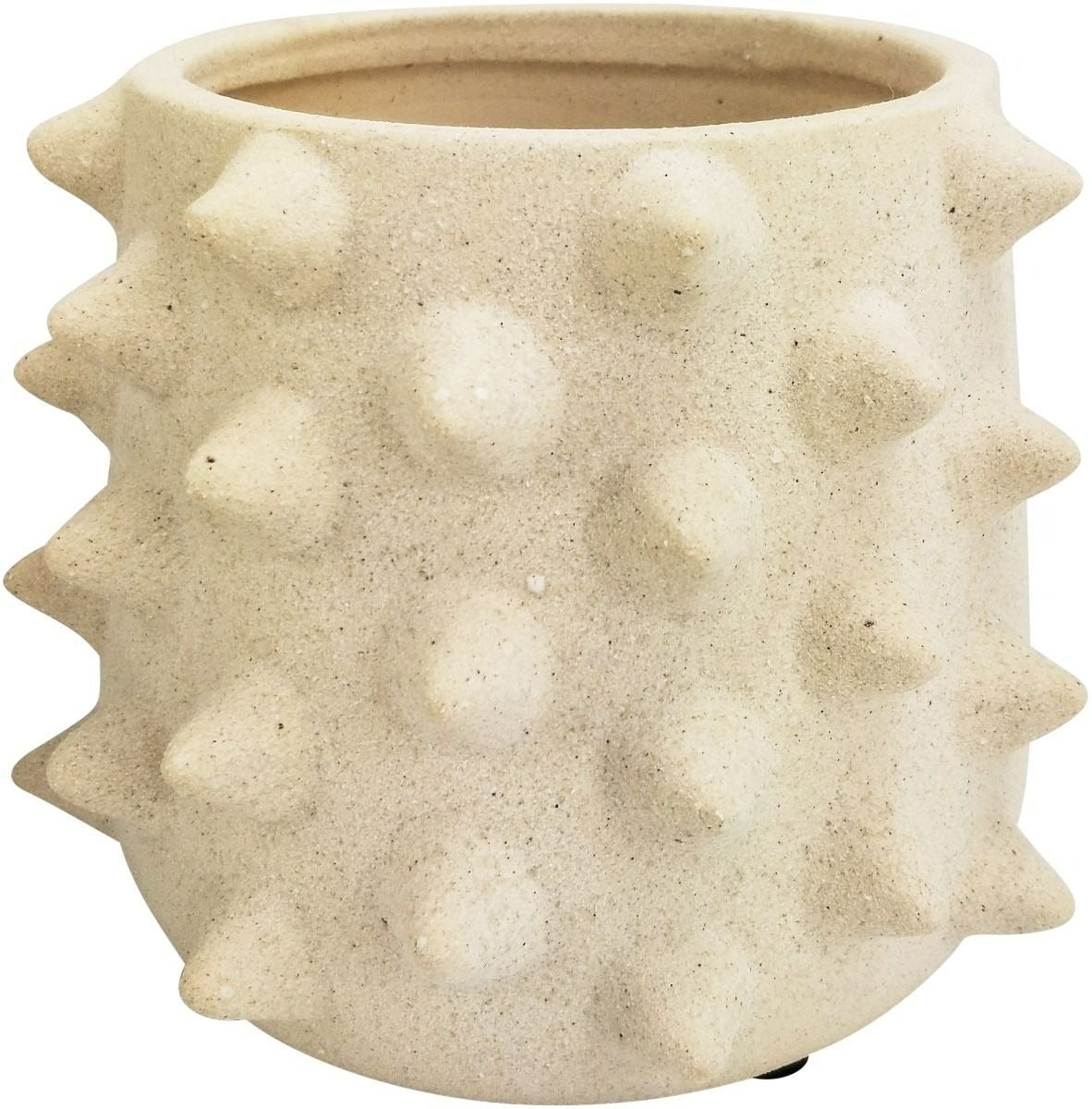 Elevate Your Space with Our Stylish Indoor Plant Pots | Exotic Botanic