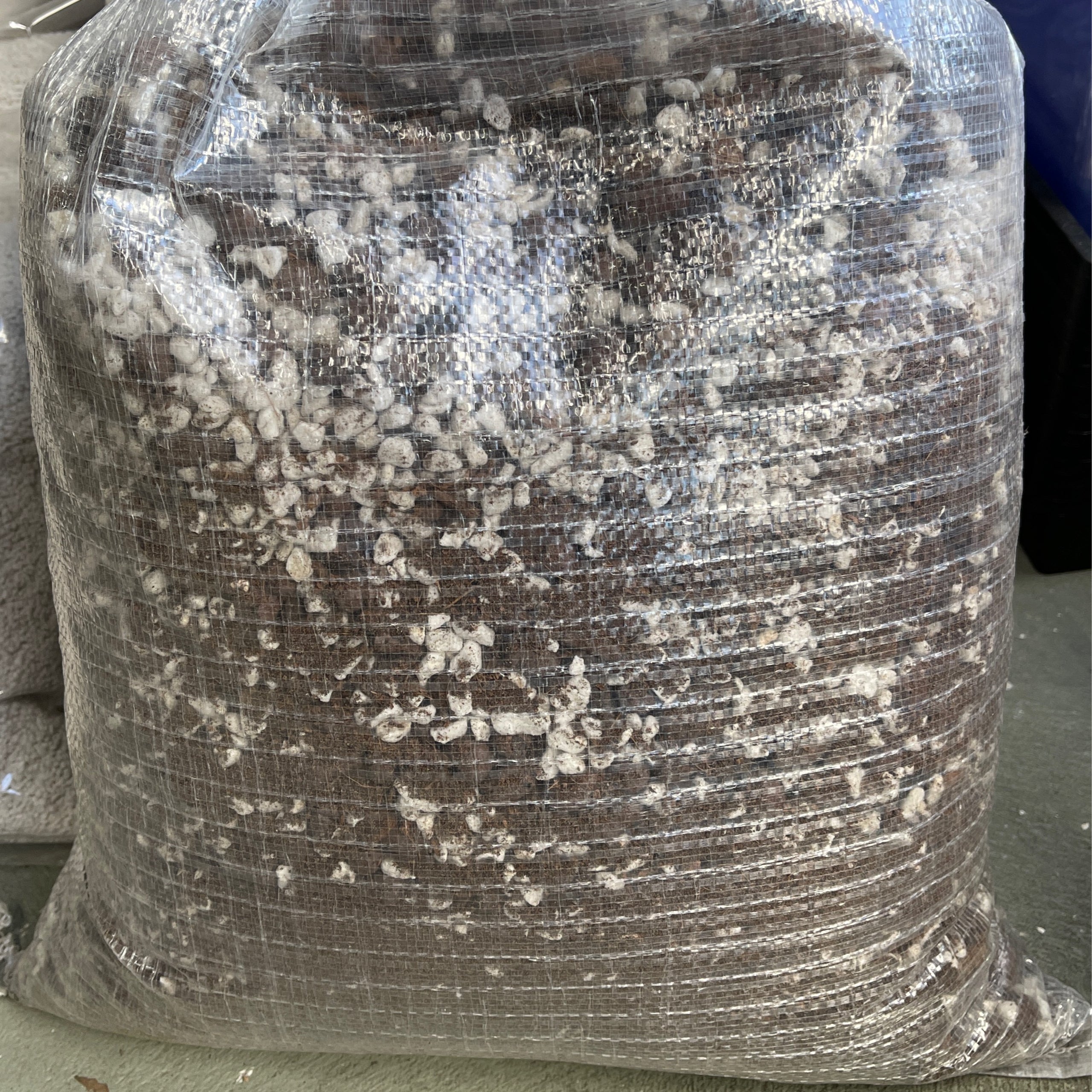 20l Exotic Mix Exotic Botanic