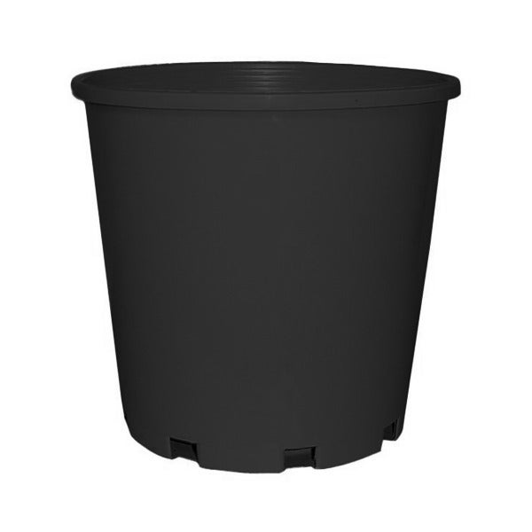 Shop All Plants, Pots & Accessories | Exotic Botanic