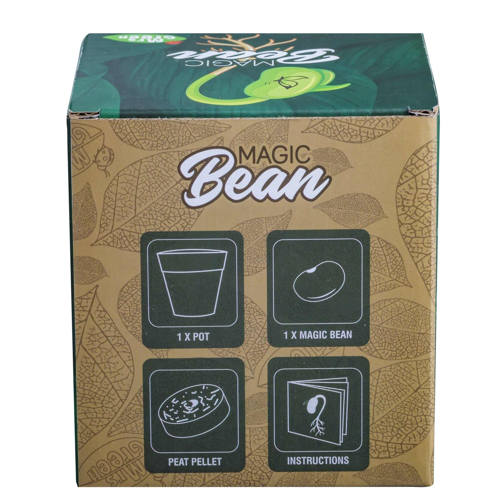 Magic Bean Kit | Exotic Botanic