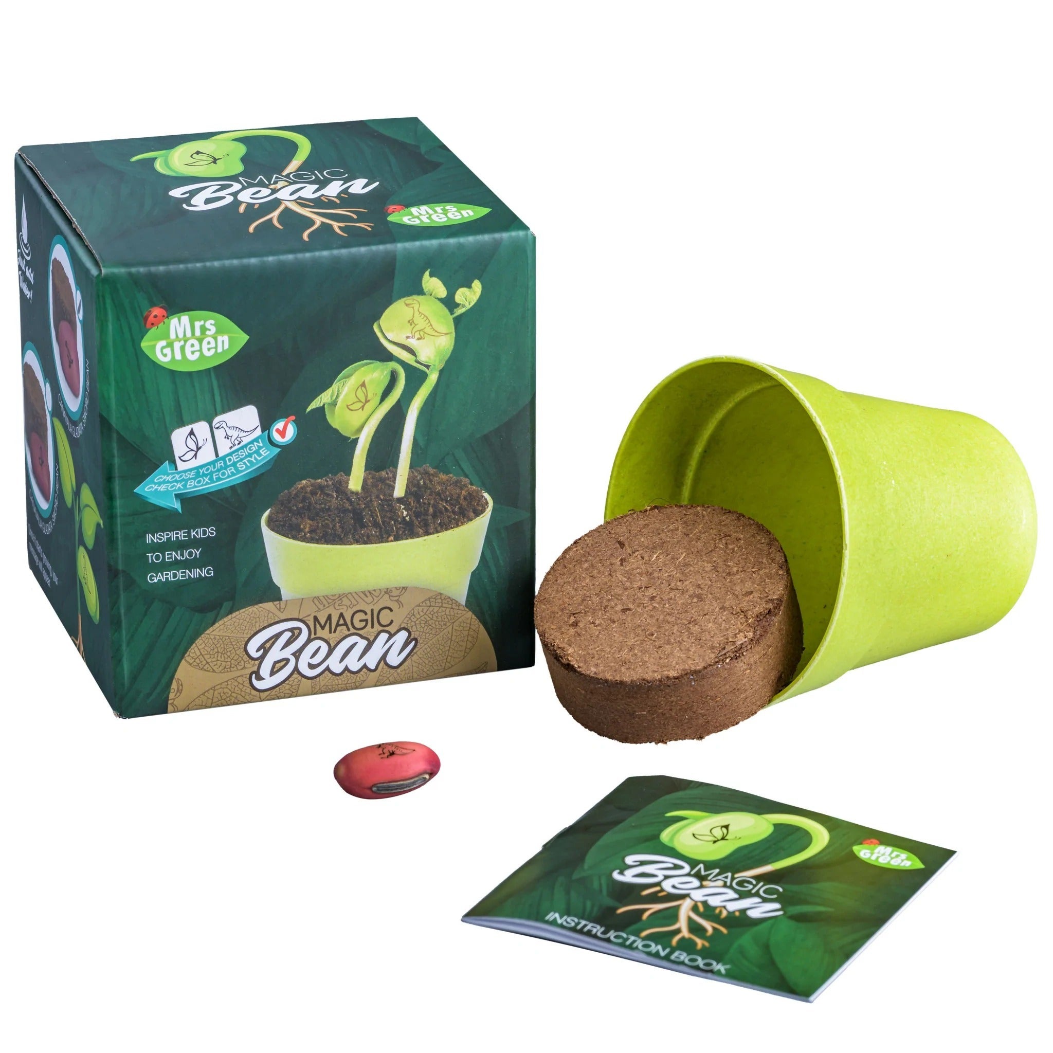 Magic Bean Kit | Exotic Botanic