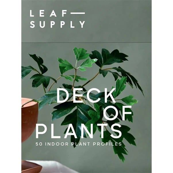Leaf Supply Deck Of Plants | Exotic Botanic