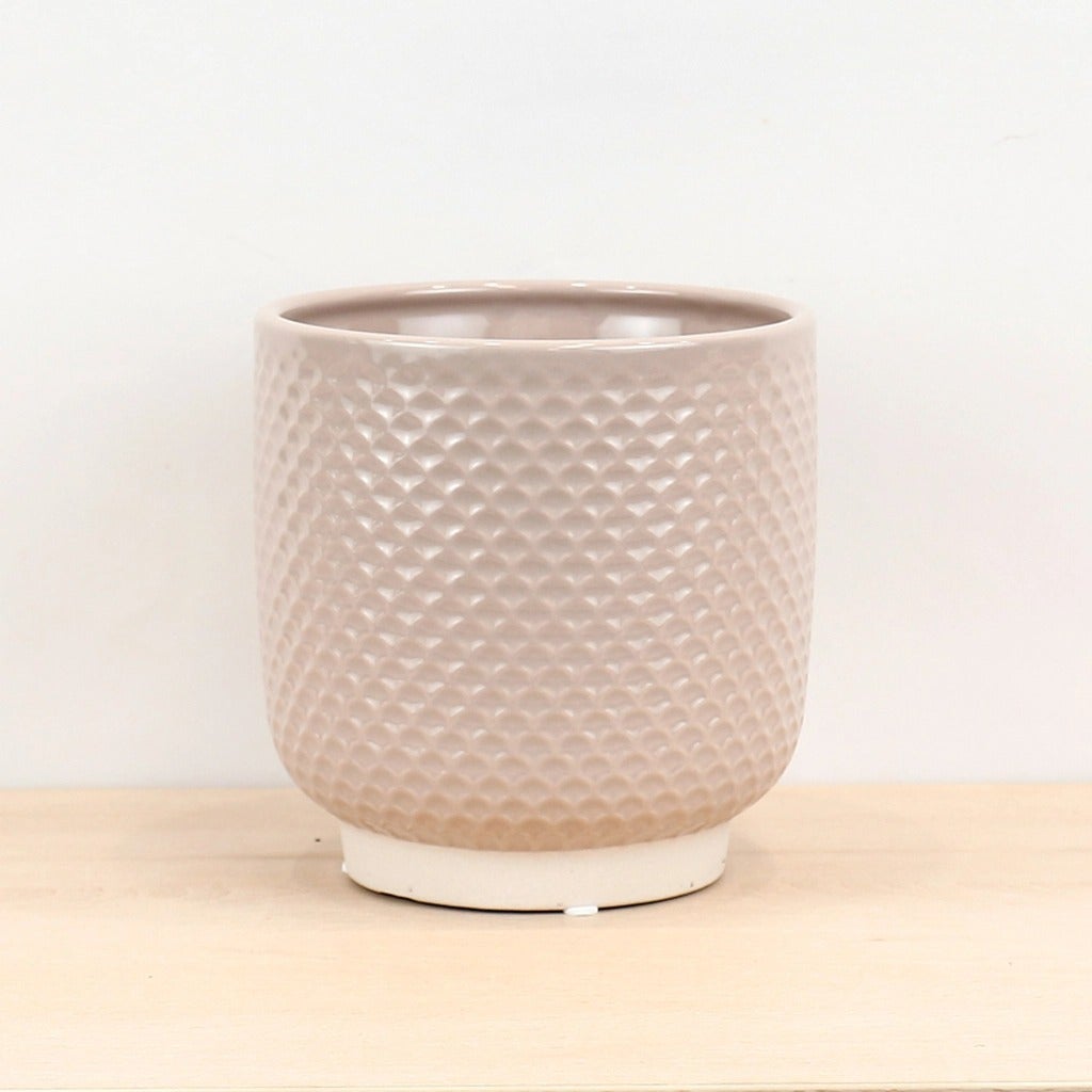 Shell Pot Medium Cream - 14cm | Exotic Botanic