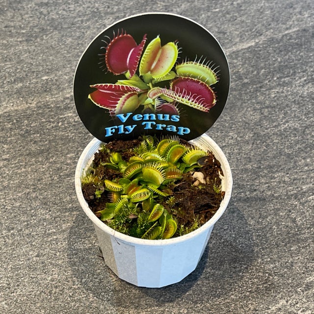 Shop All Plants, Pots & Accessories | Exotic Botanic