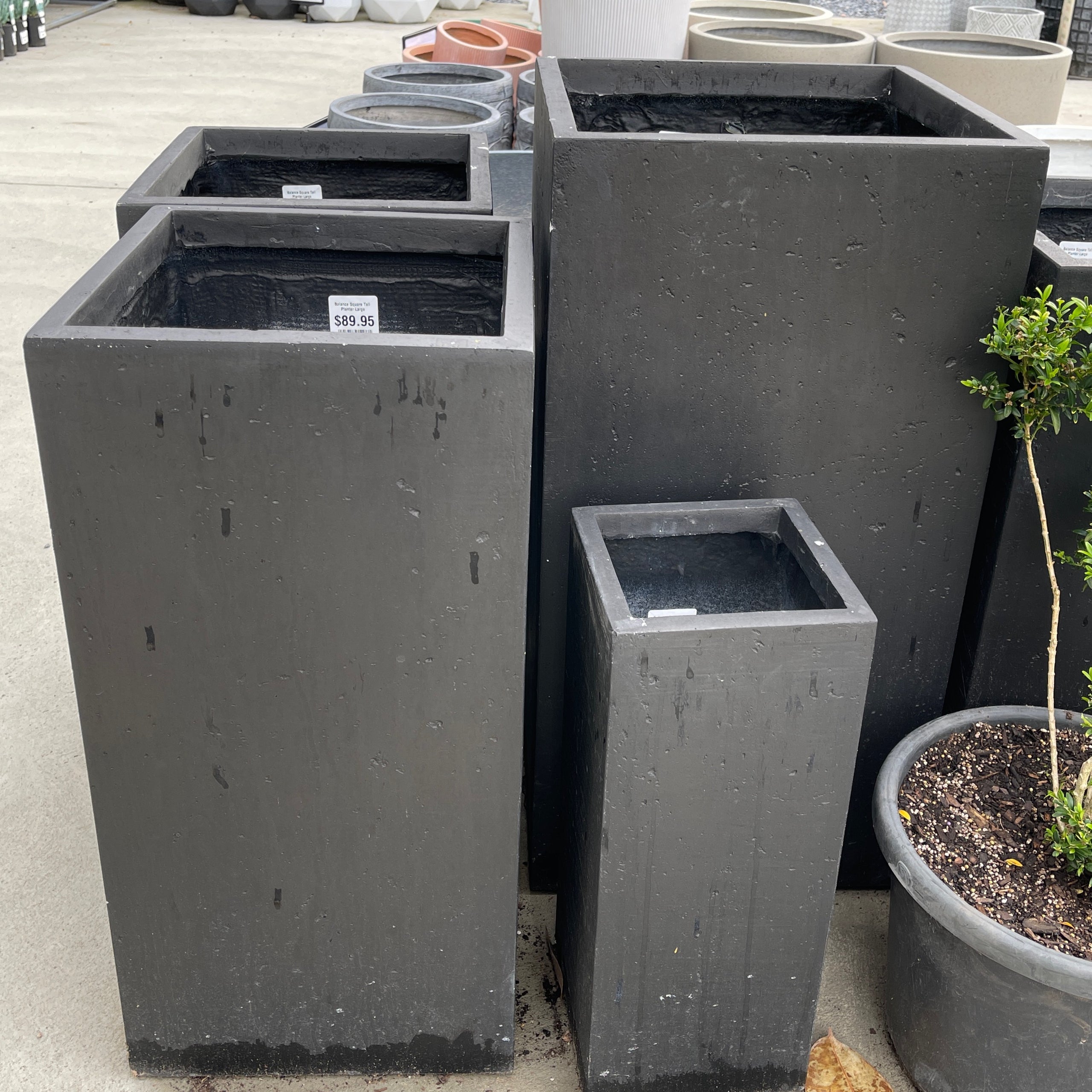 Balance Square Tall Planter | Exotic Botanic