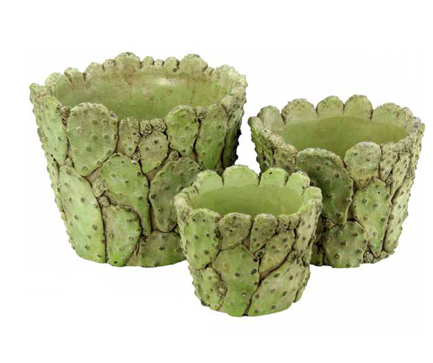 Round Cactus Planters - Mojave | Exotic Botanic