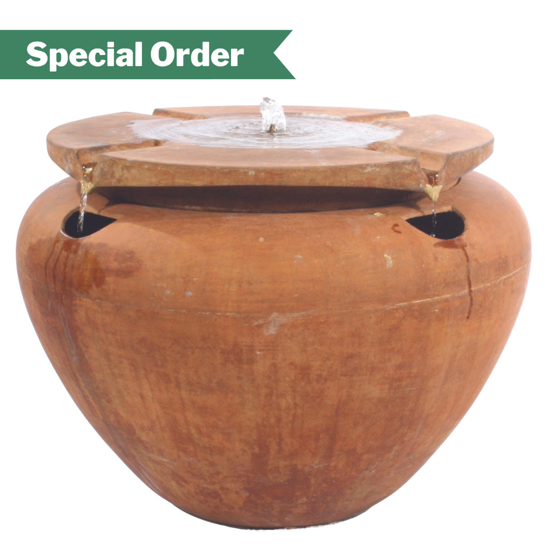 Escher Fountain Rust | Exotic Botanic