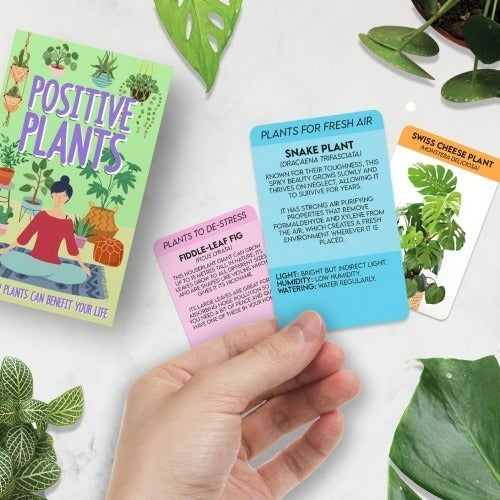 Positive Plants - Plant Cards | Exotic Botanic