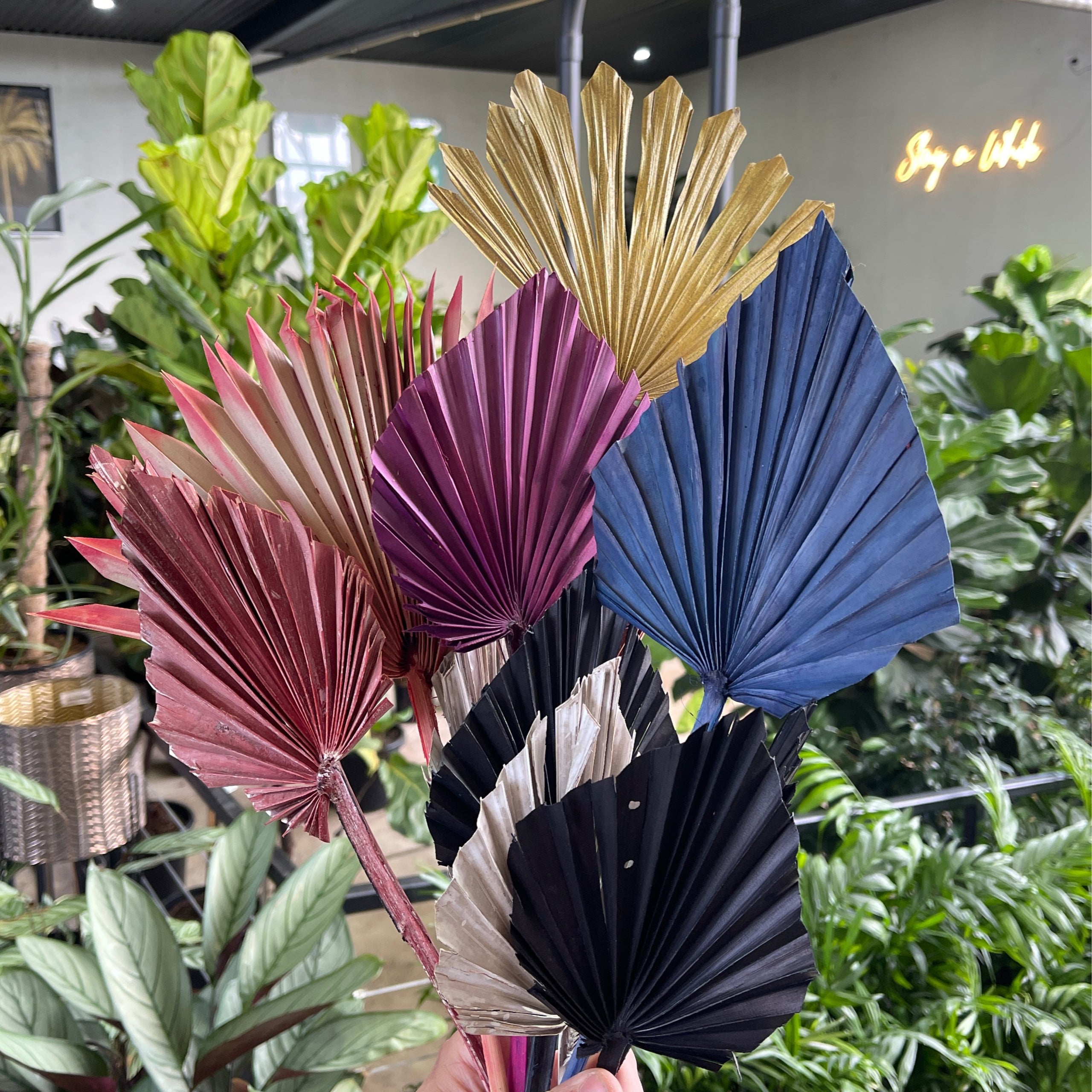 Palm Frond Fan Asst Small | Exotic Botanic