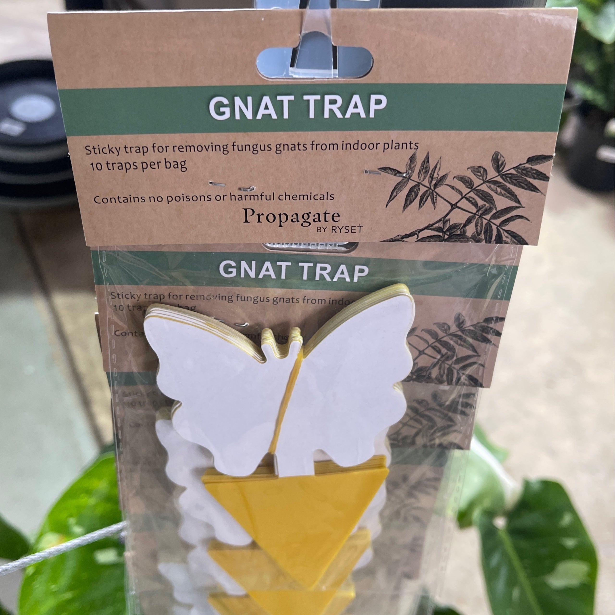 Butterfly Sticky Gnat Pest Traps 10 Pack | Exotic Botanic