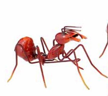 Small Metal Ant Walking - Red | Exotic Botanic