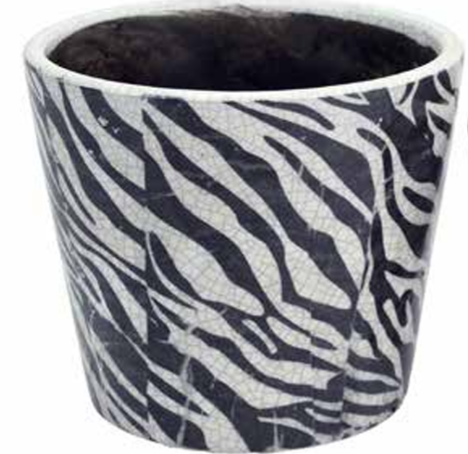 Rustic Zebra Style Pots | Exotic Botanic