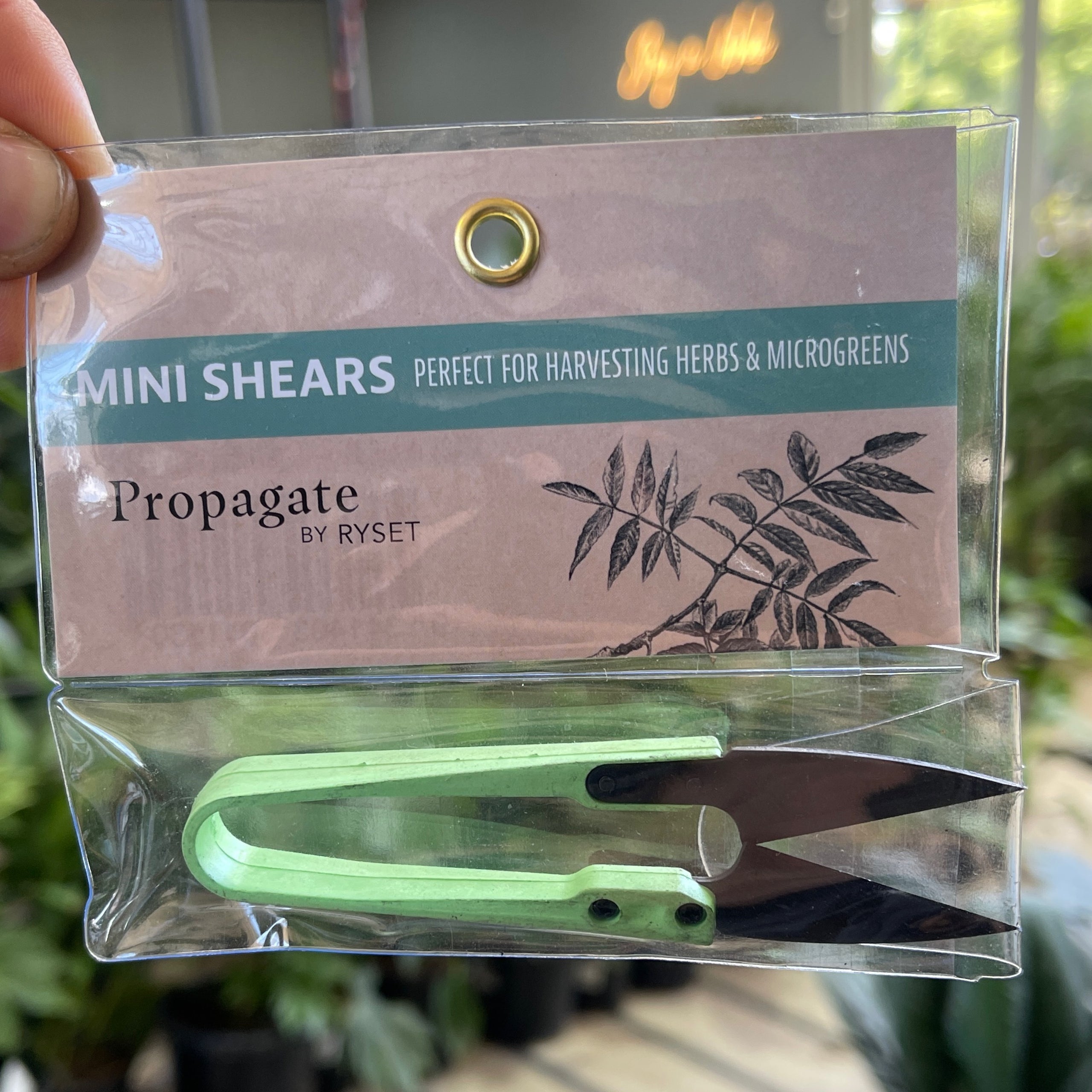 Mini Shears | Exotic Botanic