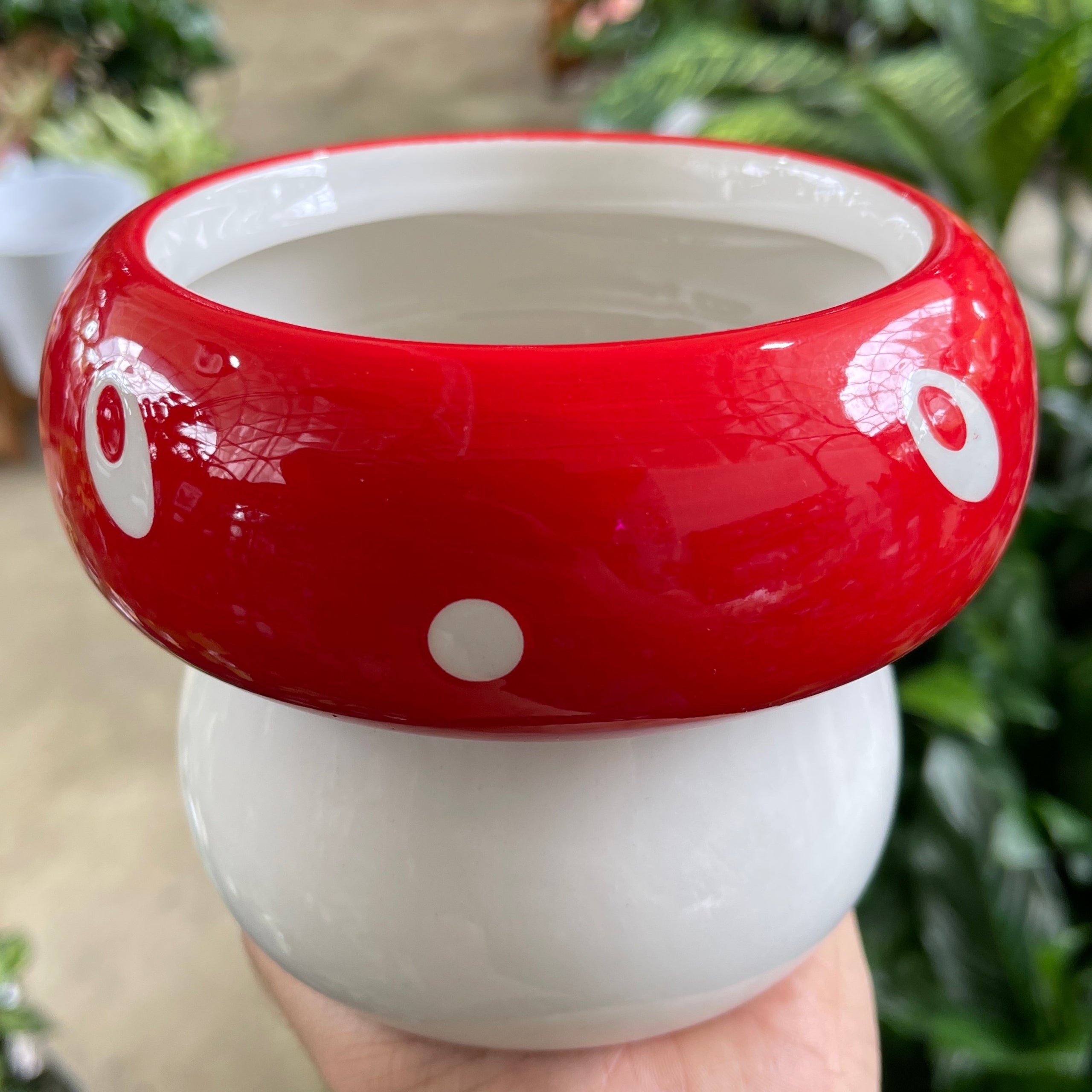 Mushroom Planter - 14cm | Exotic Botanic