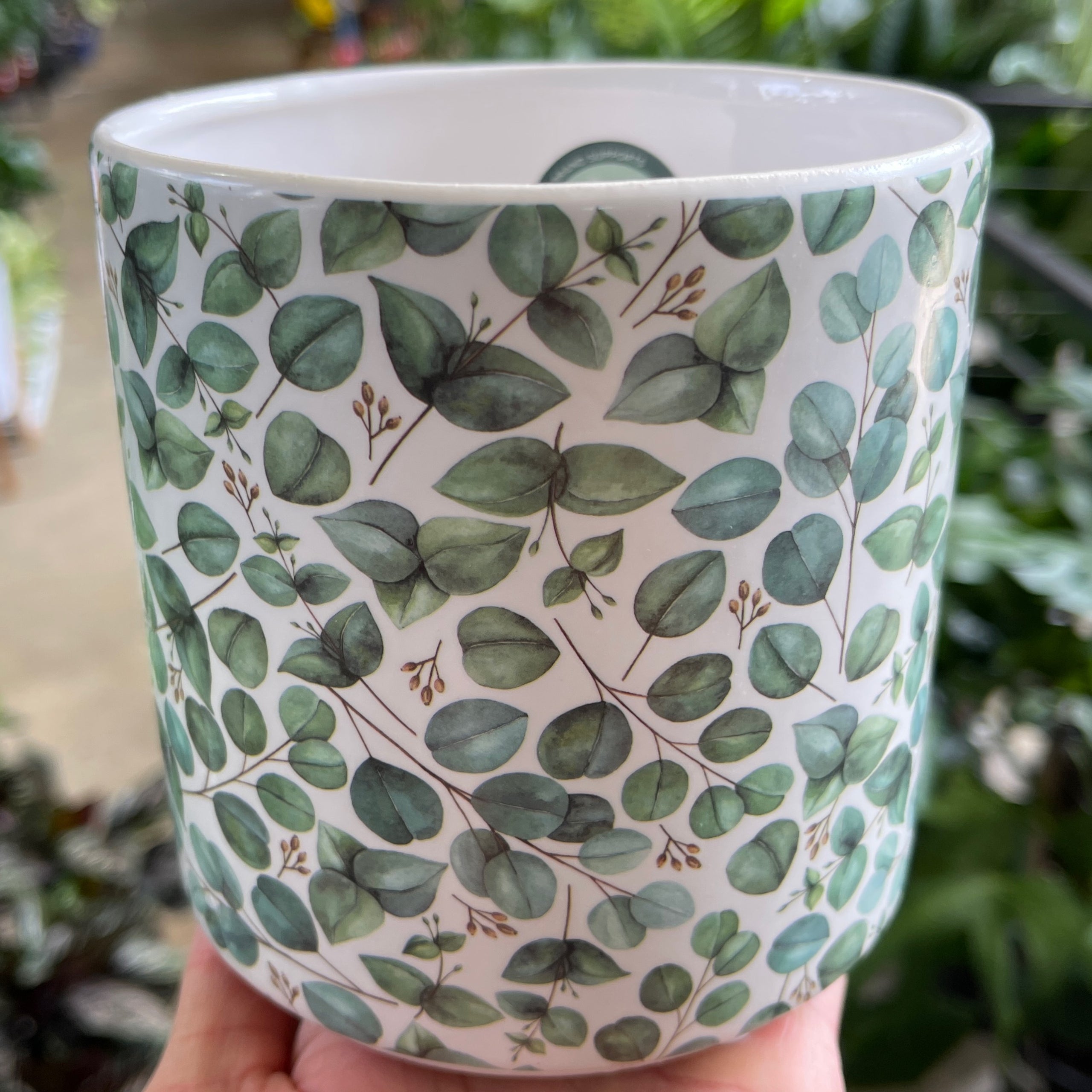 Eucalyptus Print Planter Small - 12cm | Exotic Botanic