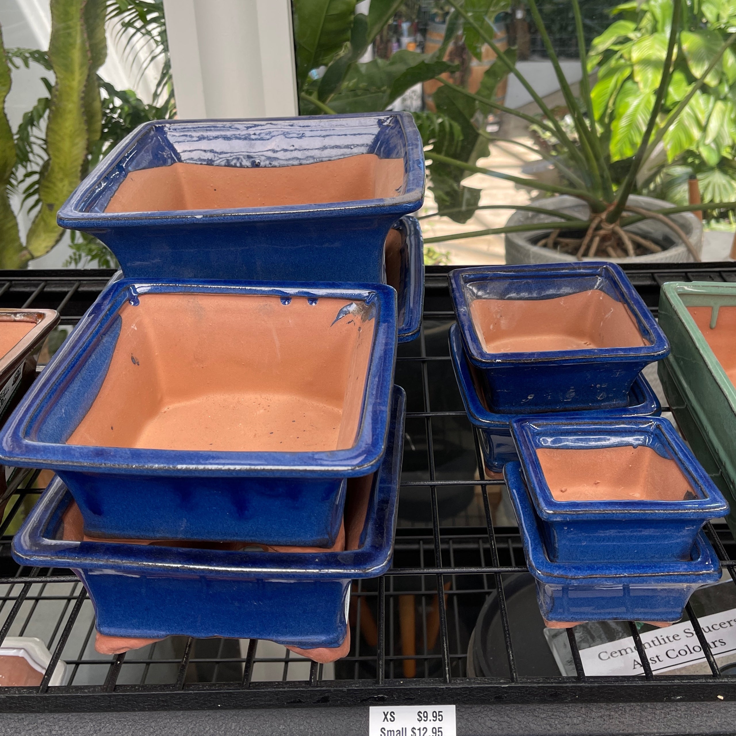 Bonsai Pot Izumi Square Blue | Exotic Botanic