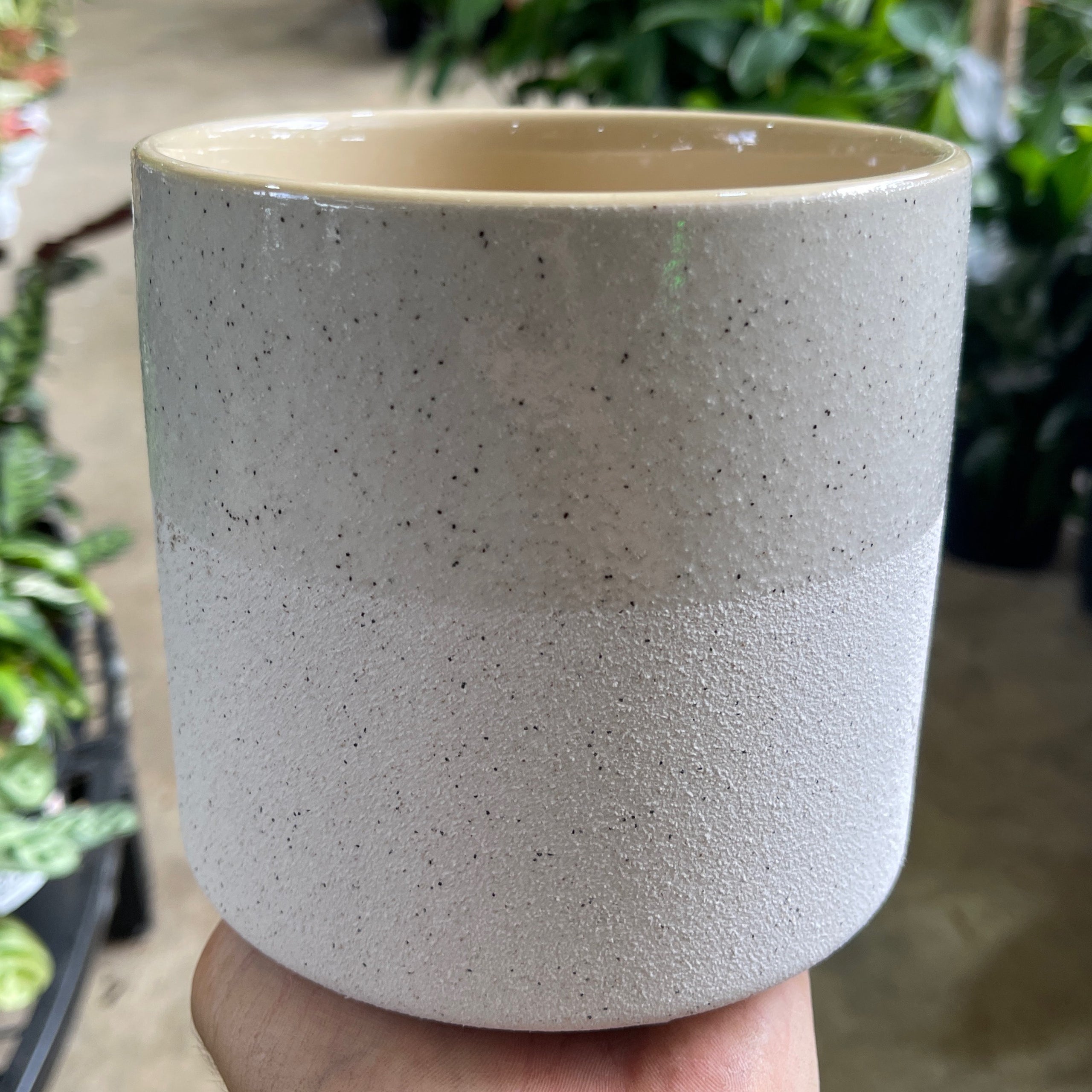 Capri Planter Pot White Sand - 13.5x13cm | Exotic Botanic