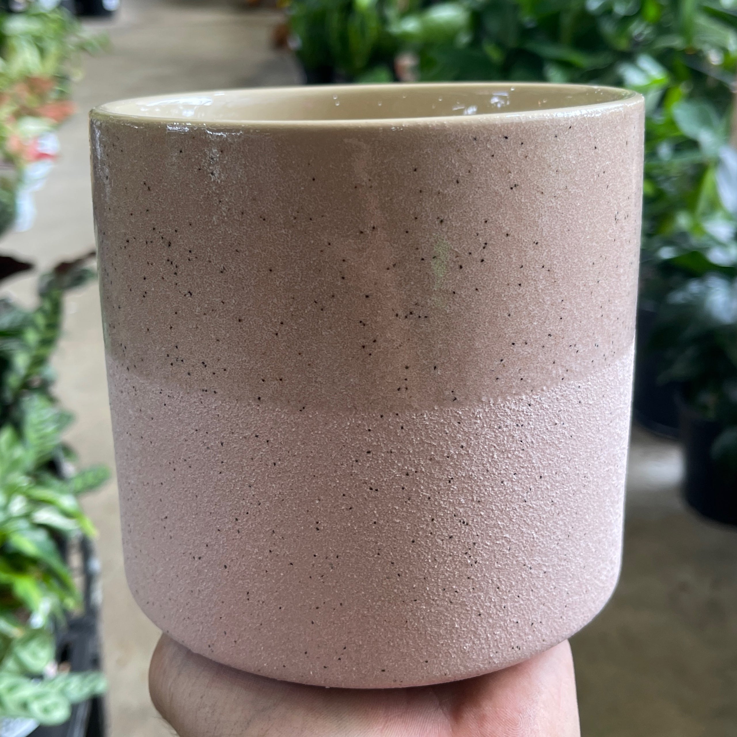 Capri Planter Pot Blush - 13.5x13cm | Exotic Botanic