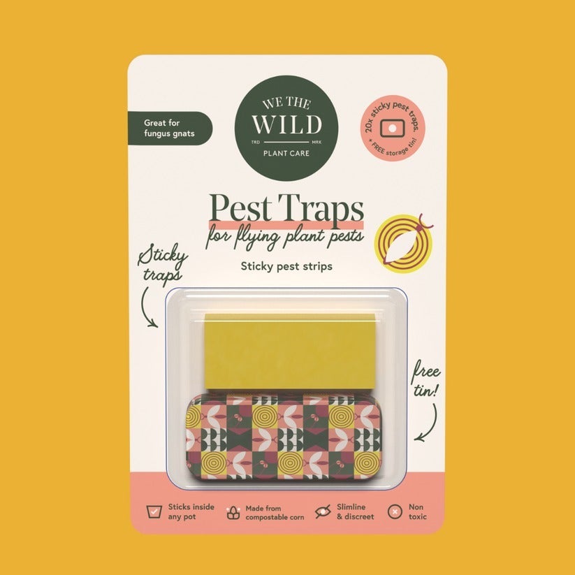 We The Wild Compostable Gnat Traps | Exotic Botanic