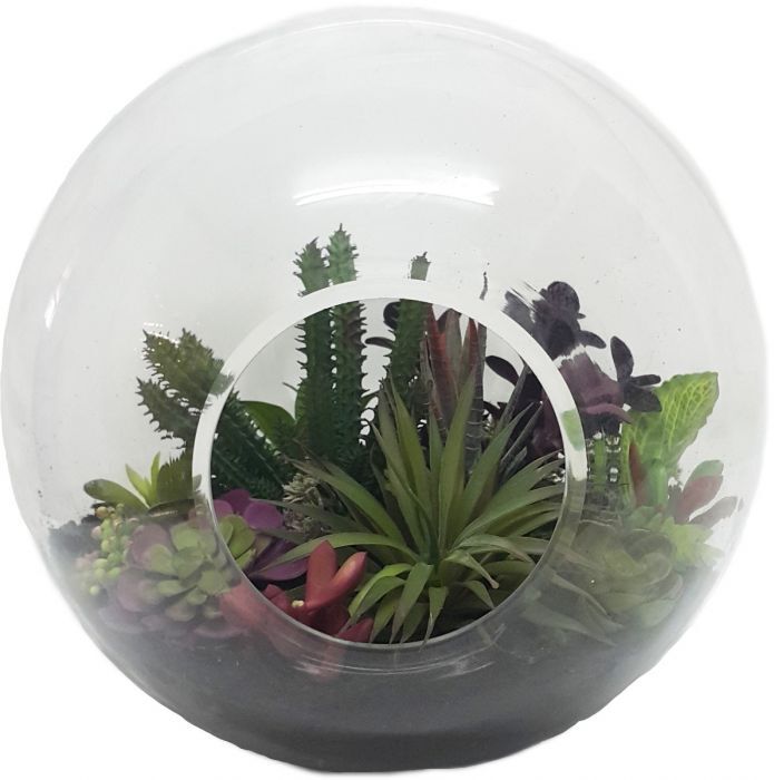 Terrarium Glass Norm Round Atrium - 30cm | Exotic Botanic