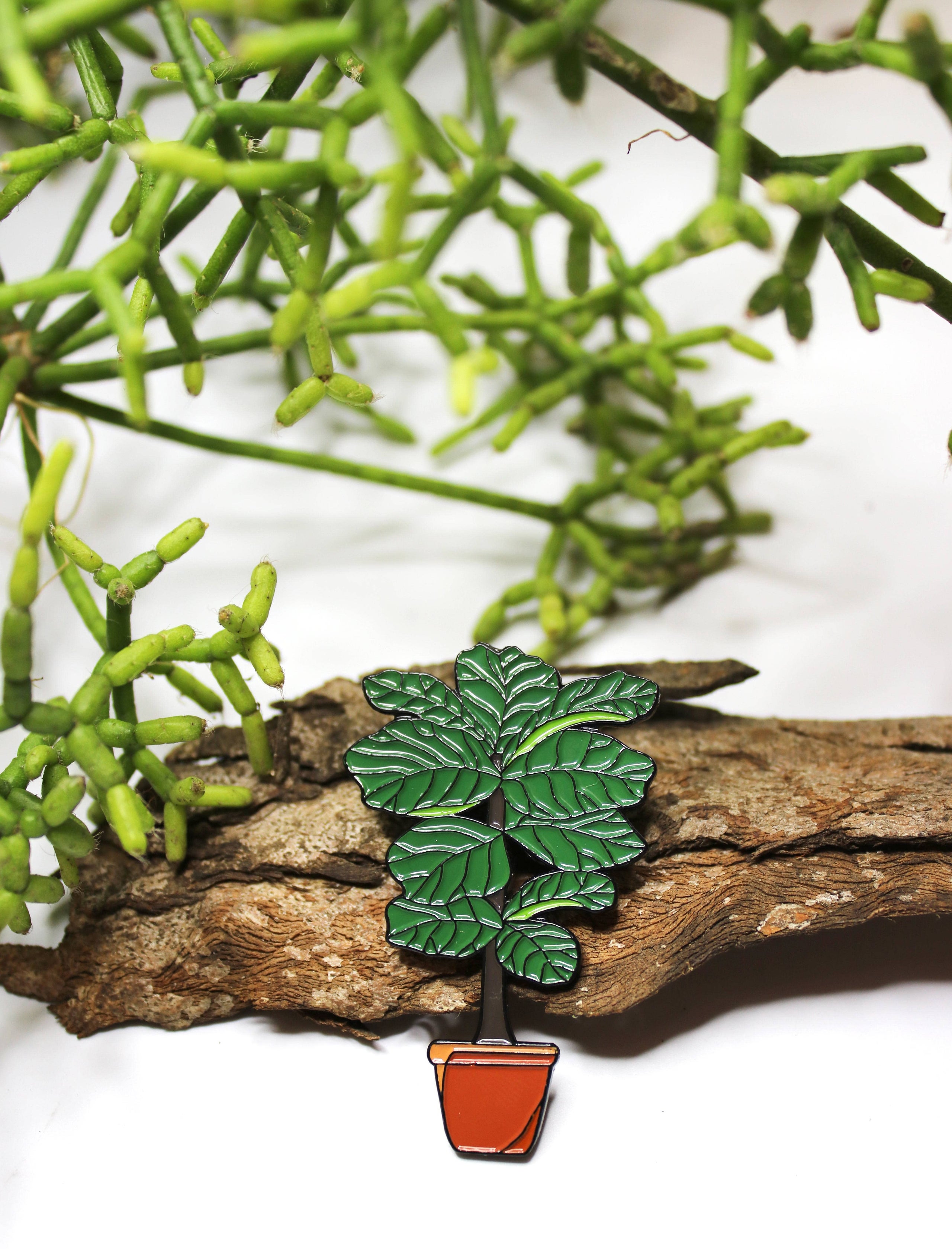 Fiddle Leaf Fig Pin | Exotic Botanic