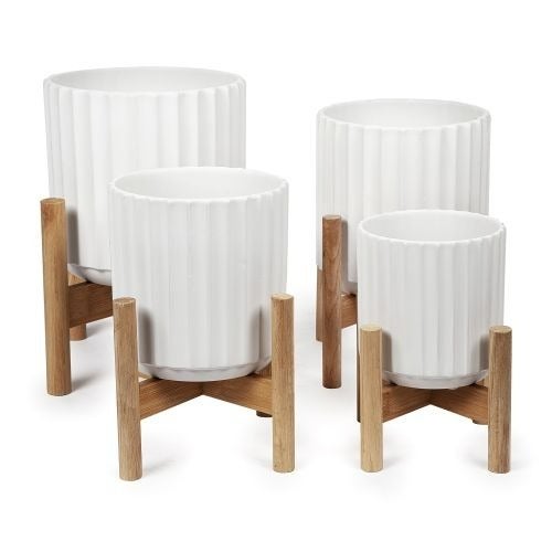 Ridge Pot With Stand | Exotic Botanic