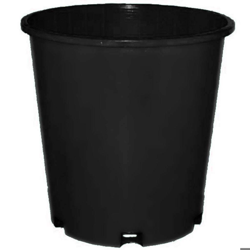 140mm Nursery Pot Gardern City Plastics - P140SLTLW | Exotic Botanic