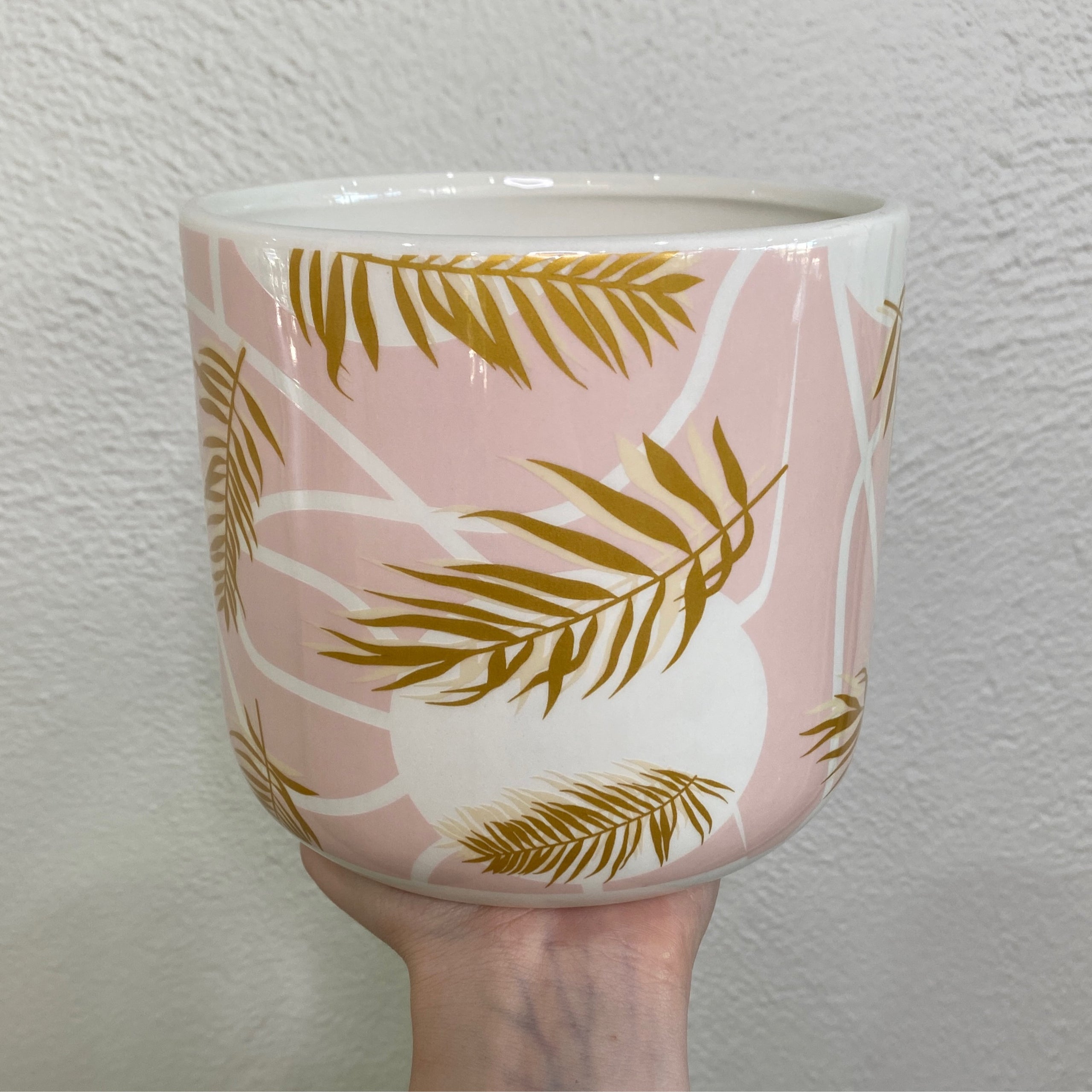 Palm Planter Medium | Exotic Botanic
